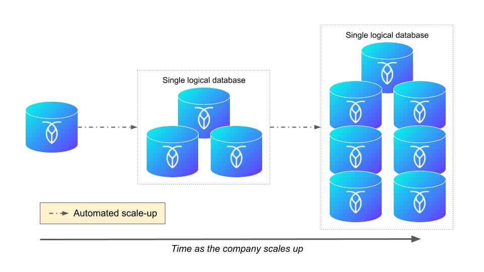 Building A Payments System That Scales To Infinity With Examples